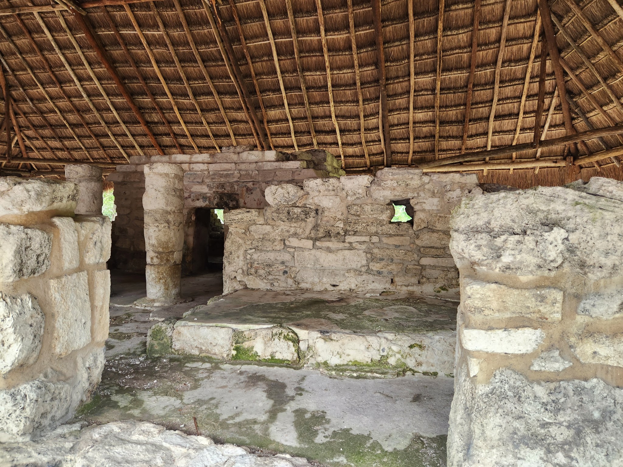 Pat and Dave’s Tremendous Tropical Trek – PART 2: Cozumel, Belize ...
